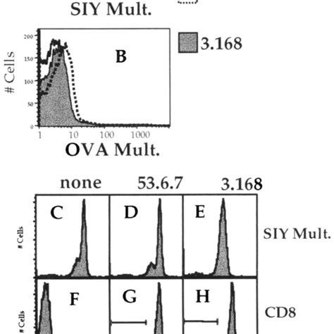 Role Of Cd8 Binding Of Multimeric Altered Peptide Ligands Ot I Cells