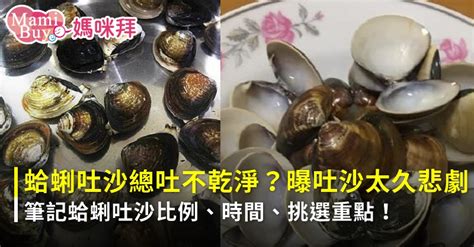 蛤蜊吐沙怎麼吐又快又乾淨蛤蜊吐沙時間及挑選撇步分享MamiBuy編輯部 媽咪拜MamiBuy