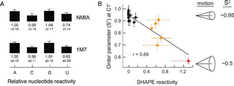 Figure 3 From Exploring Rna Structural Codes With Shape Chemistry