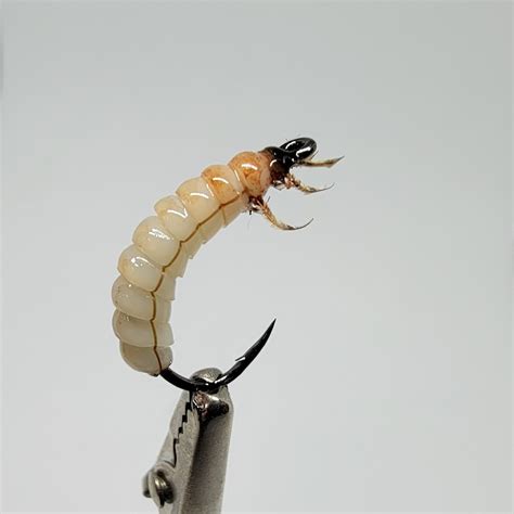 Realistic Fly Tying Hises Limnephilidae Caddis Larva