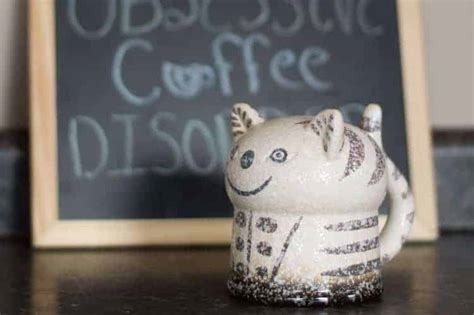 Where I Found The Coolest Crazycatlady Mug Ever