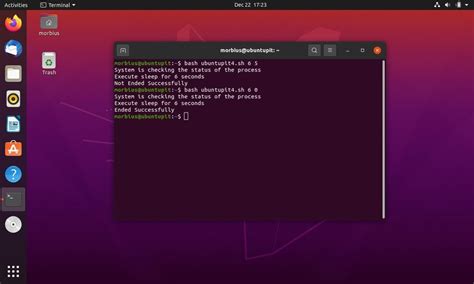 Linux中的wait命令通过实例解释