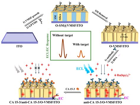 Dual Mode Sensing Platform For Cancer Antigen 15 3 Determination Based
