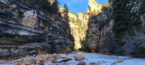 Ashdown Gorge Trail Utah 834 Reviews Map Alltrails