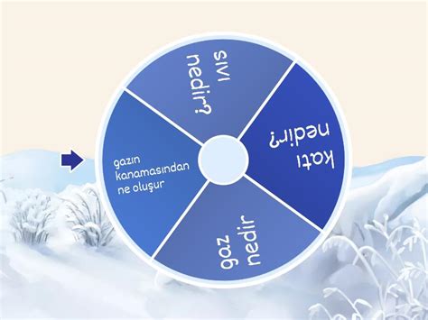 Fen Bilimleri Random Wheel