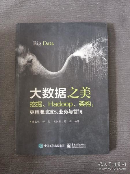 大数据之美：挖掘、hadoop、架构，更精准地发现业务与营销黄宏程 编著孔夫子旧书网