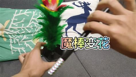 为什么魔术棒轻轻一挥 可以变出一朵花 学会以后快去骗朋友玩 综艺 魔术 好看视频