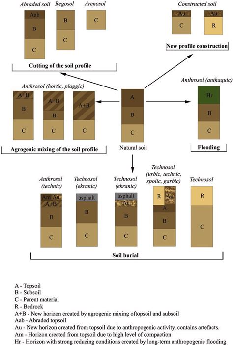 Soil Profile Layers Of Soil Types Composition Importance