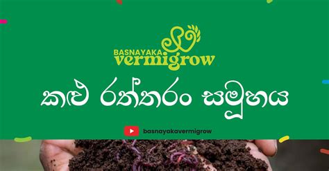 Basnayaka Vermigrow කළු රත්තරං සමූහය