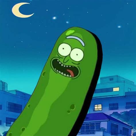 An Avatar Of Pickle Rick That I Made In Photoshop Awhile Ago R Rickandmorty