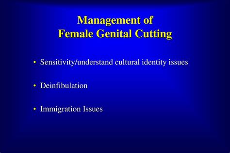 Womens Health Contemporary Human Rights Issues Ppt Download