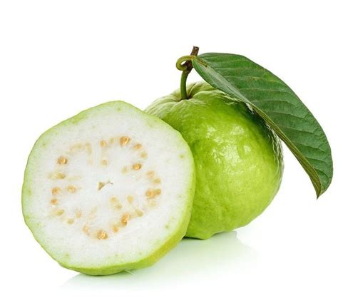 Buy Guava Fruit Tree Online Eureka Farms