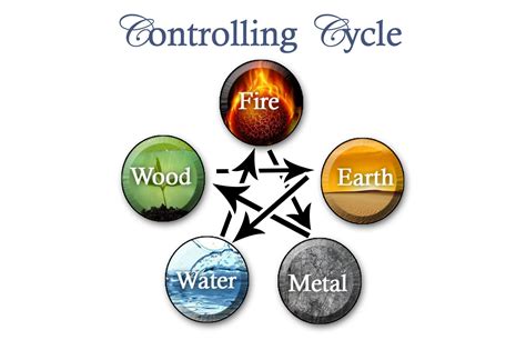 Cycles And The Five Elements Shelton Qigong