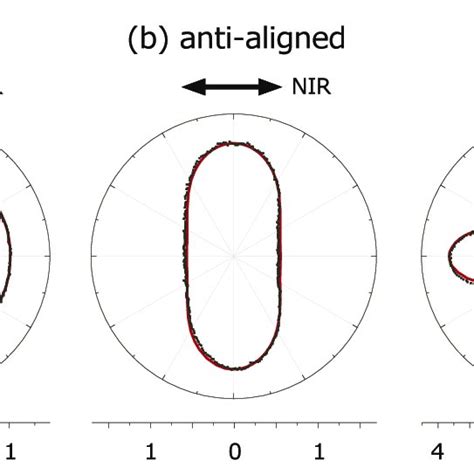 The Orientation Distribution Functions F T Q Of Equation 1 A Download Scientific