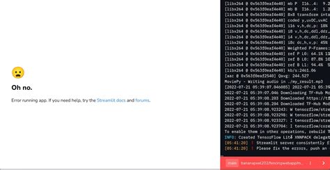 Streamlit Server Consistently Failed Status Checks And Potential Memory