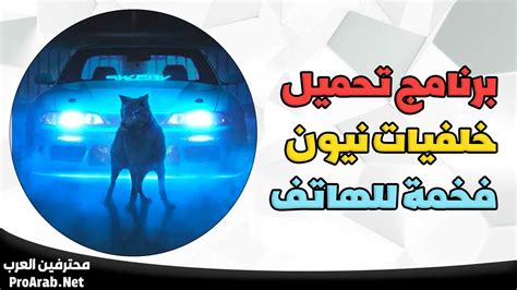 تطبيق تنزيل صور و خلفيات نيون 4k للحيوانات عالية الجودة