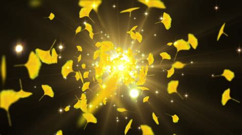 Leaves Particle Effect 29890576 Stock Video At Vecteezy Leaves Particle Effect 29890576 Stock Video At Vecteezy