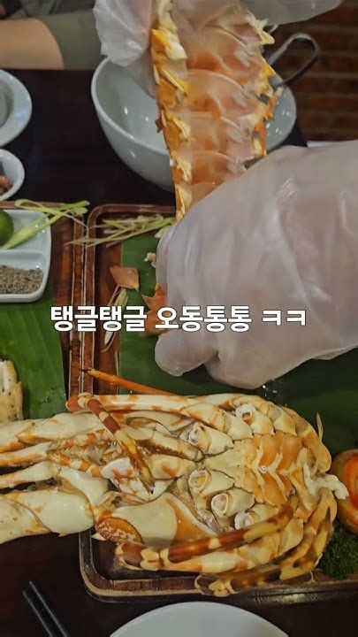 랍스터 맛집 국내여행 바다 해외여행 여행그리기 나트랑 포토존 해산물맛집 해산물요리 풍경그림 여행 Youtube