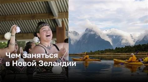 Чем заняться в Новой Зеландии 100 дорог