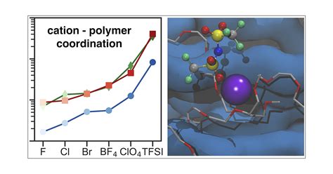 Ion Coordination And Chelation In A Glycolated Polymer Semiconductor Molecular Dynamics And X