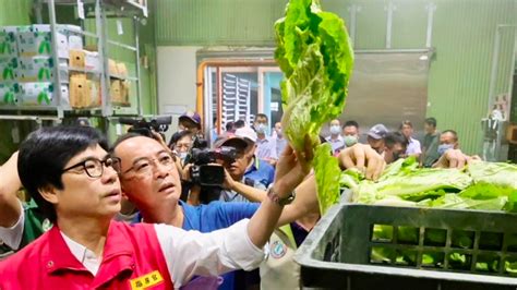 菜價連日飆漲！每公斤飆破50元 「恐9月才回穩」農糧署緊急釋出高麗菜
