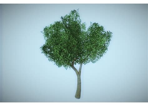 3D Model Low Poly Tree VR AR Low Poly OBJ 3DS LWO LW LWS HRC XSI