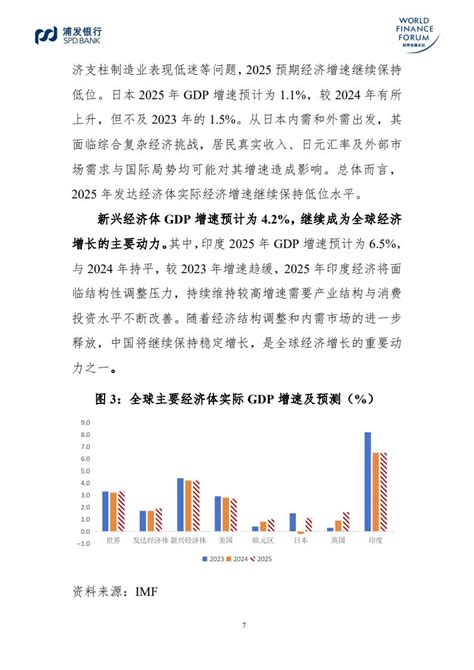 世界金融论坛：2025年世界经济金融展望报告 互联网数据资讯网 199it 中文互联网数据研究资讯中心 199it