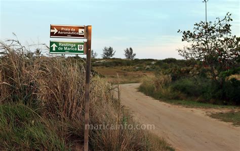 Maricá Polícia tenta identificar corpo encontrado na restinga Maricá