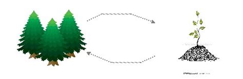 Positive Feedback Loop Insight Maker