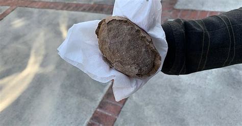 Fossil Album On Imgur