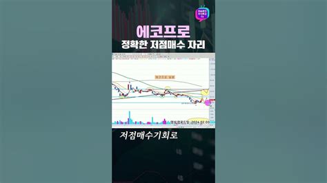 이럴 때가 저점매수 기회 에코프로 에코프로비엠 Shorts Youtube