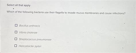Solved Select All That ApplyWhich Of The Following Bacteria Chegg