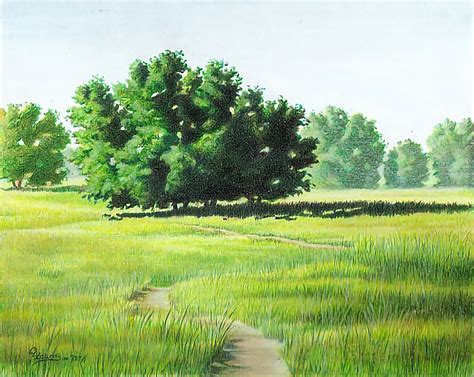 How To Color Grass With Colored Pencils At Randall Lewandowski Blog