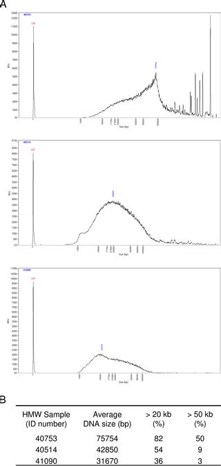 Validated Dna Isolation Method Ensuring Successful Long Read Sequencing Of Cattle Semen Genome