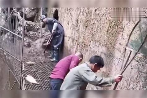 村里的土山破了个洞里面居然掉出来这么多鱼