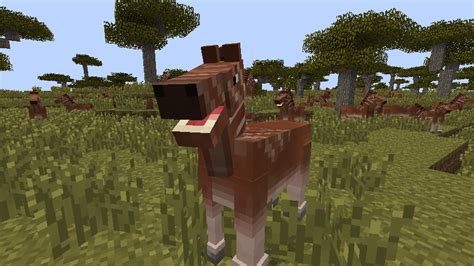Quagga Fossils And Archeology Mod Revival Wiki Fandom Powered By Wikia