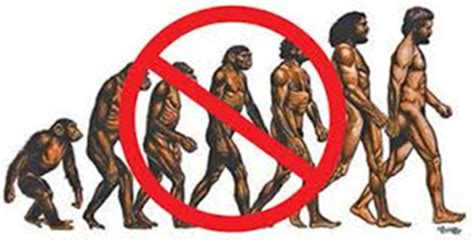 Evolution Final Unit Four Human Evolution Lecture Flashcards Quizlet