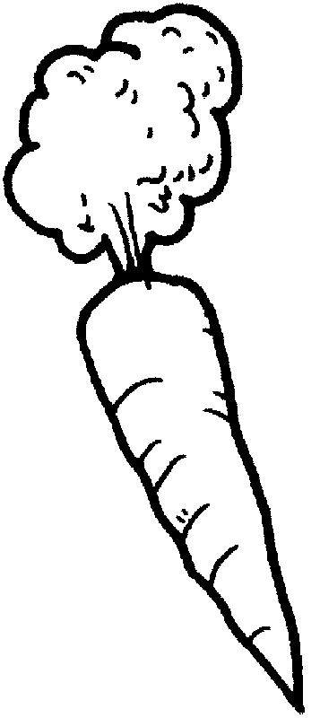 DIBUJOS PARA COLOREAR PINTAR IMAGENES DIBUJOS DE ZANAHORIAS PARA