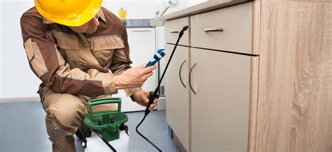 Pest Control Singapore The Basics Pest Control Singapore