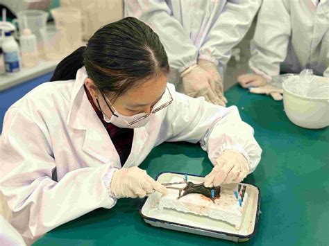 【深圳】基于ai算法的自动驾驶应用研究 Xlab