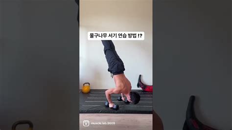 물구나무 서기 단계별 연습 방법 Youtube