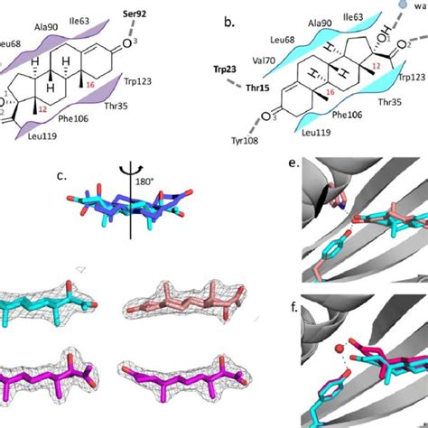 Distinct Binding Conformations Revealed In The Crystal Structure Of