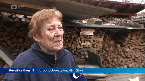 Filip Rožánek On Twitter Úplně Pohádkové Jméno Seznamte Se Pěvuška Ovesná Chovatelka Slepic