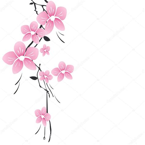 Wallpaper Bunga Sakura Putih 80 Bunga Sakura Ideas Bunga Sakura Bunga Sakura Eveline Swaniawski