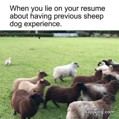 Augustine Linu Posted On Linkedin