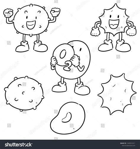 Vector Set Blood Cells Stock Vector Royalty Free 1349551811