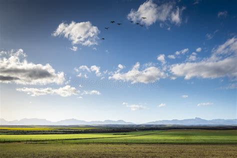 Agricultural Field Farm Sky Grass Meadow Stock Image Image Of Summer