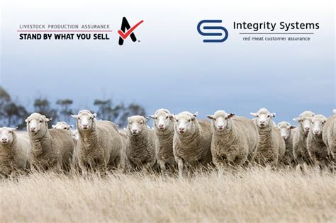 Current Lpa Auditing Arrangements Integrity Systems