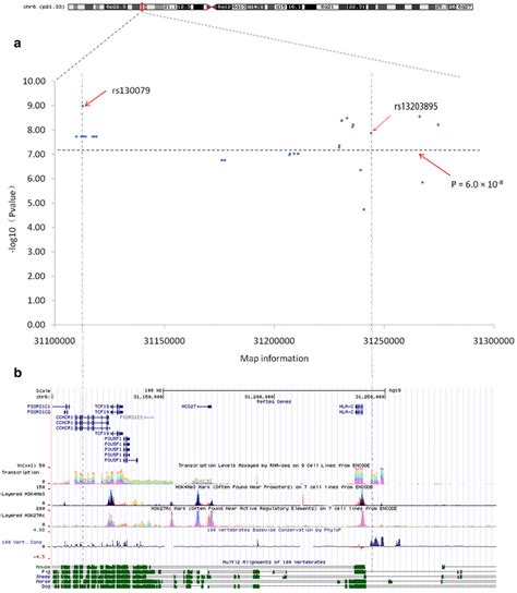 Association And Functional Annotation Of Methqtl Snps That Located In