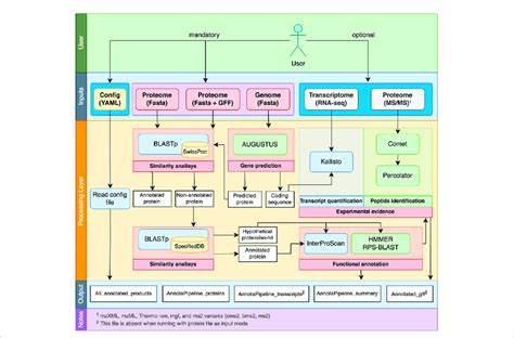 overview of annotapipeline workflow indicating the optional and the